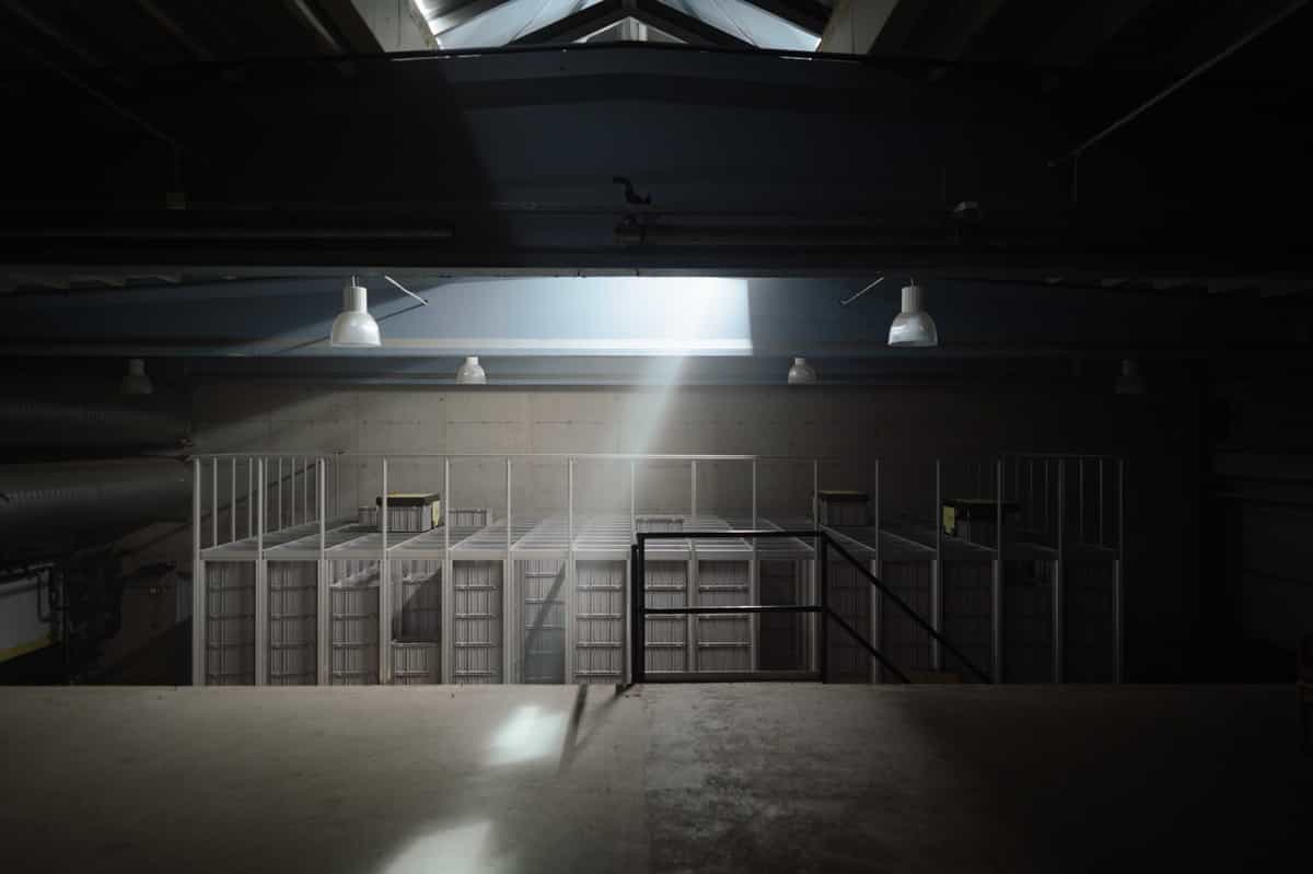 Warehouse Automation Benefits: Elevating Productivity with Pio